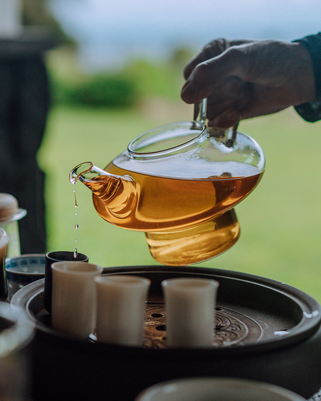 Ancient Leaf Tea | A Farm in Hawaii Specializing in Tea and Botanicals