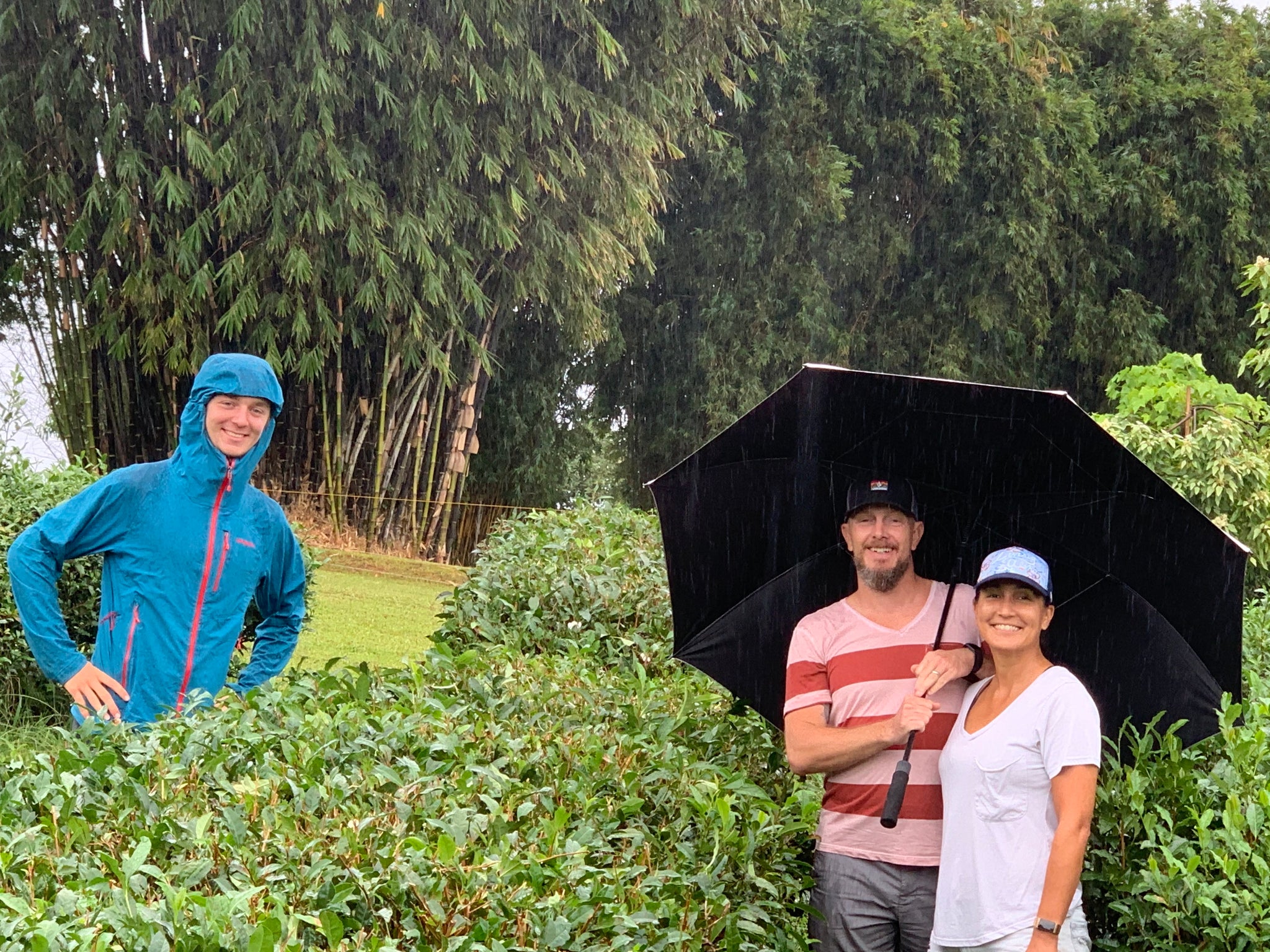 Ancient Leaf Tea | A Farm in Hawaii Specializing in Tea and Botanicals